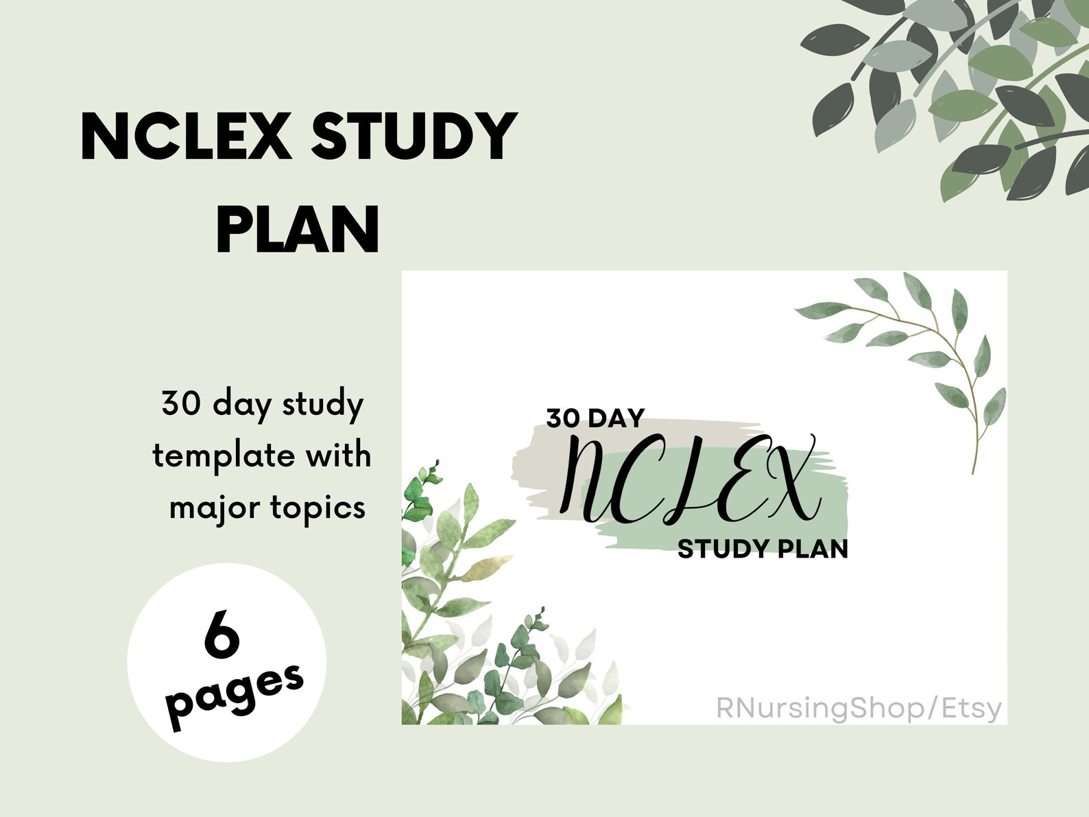 NCLEX 30 Day Study Plan and Guide - Etsy