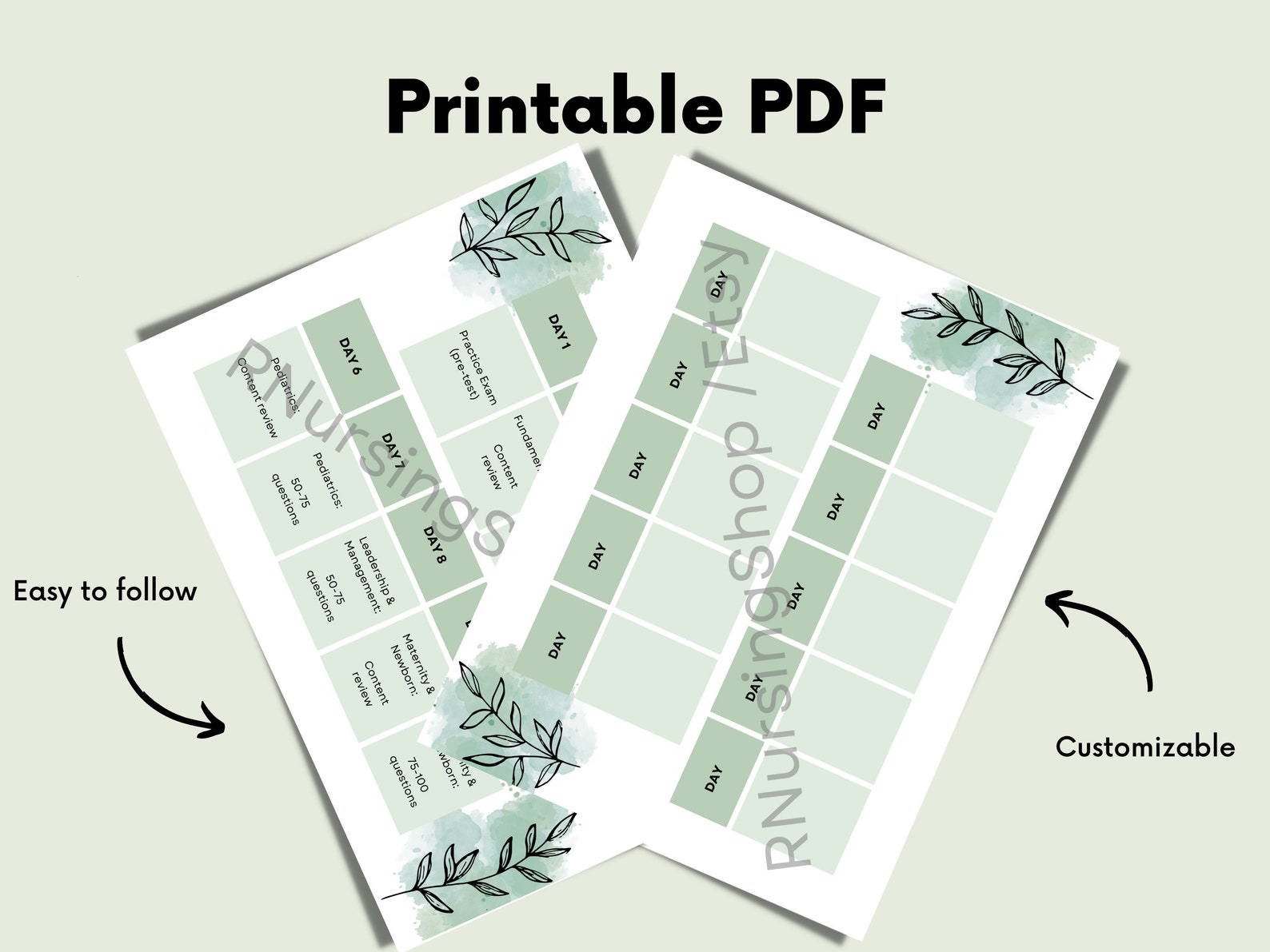 NCLEX 30 Day Study Plan and Guide - Etsy