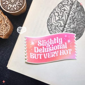 Delusional but Hot Funny Meme Quote Vinyl Sticker - Etsy