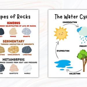 Set of 8 Educational Science Posters: Printable Pdfs for Playroom or ...