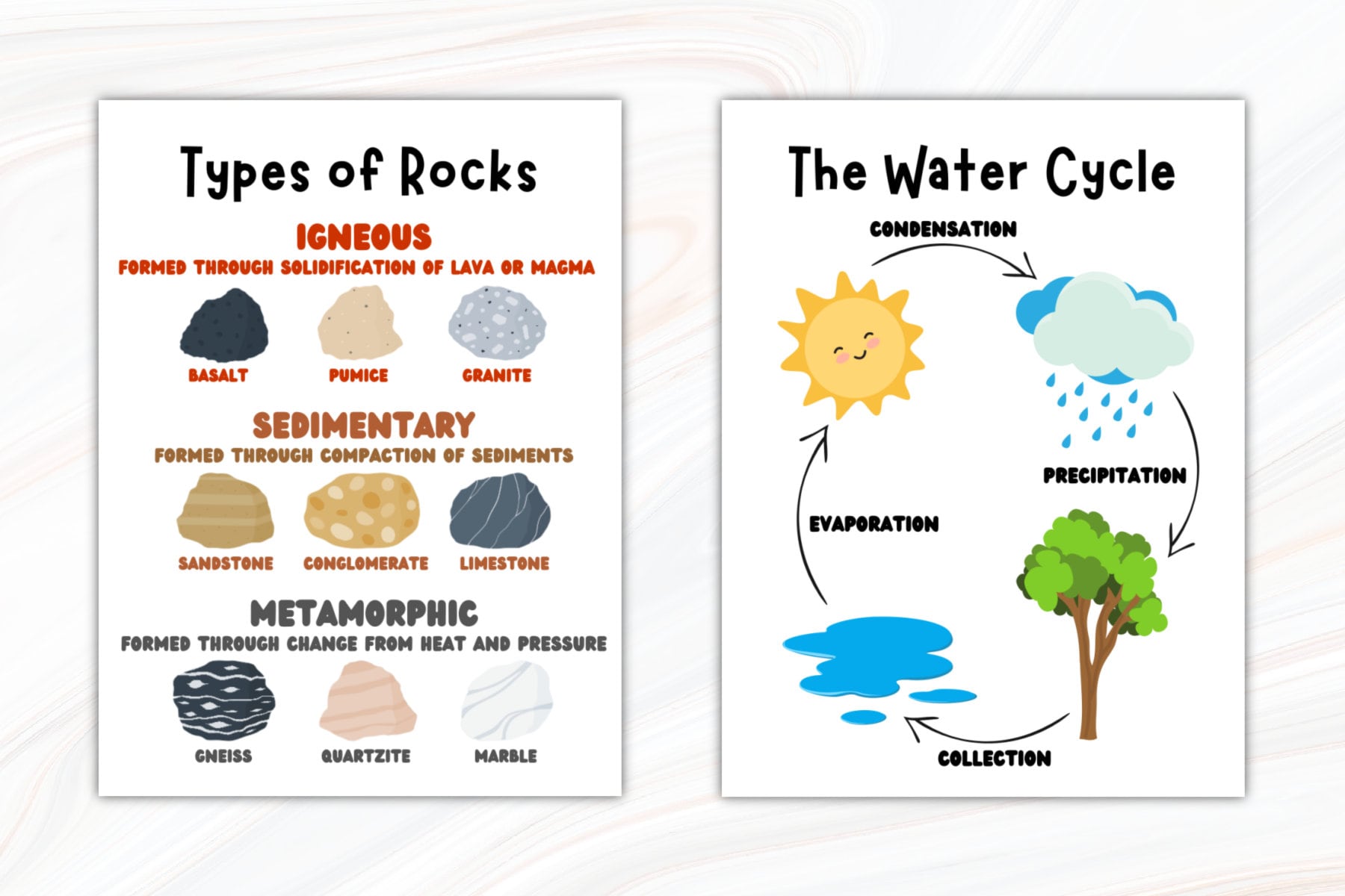 Science Posters Set: Educational Prints for Kids, Homeschool (digital ...