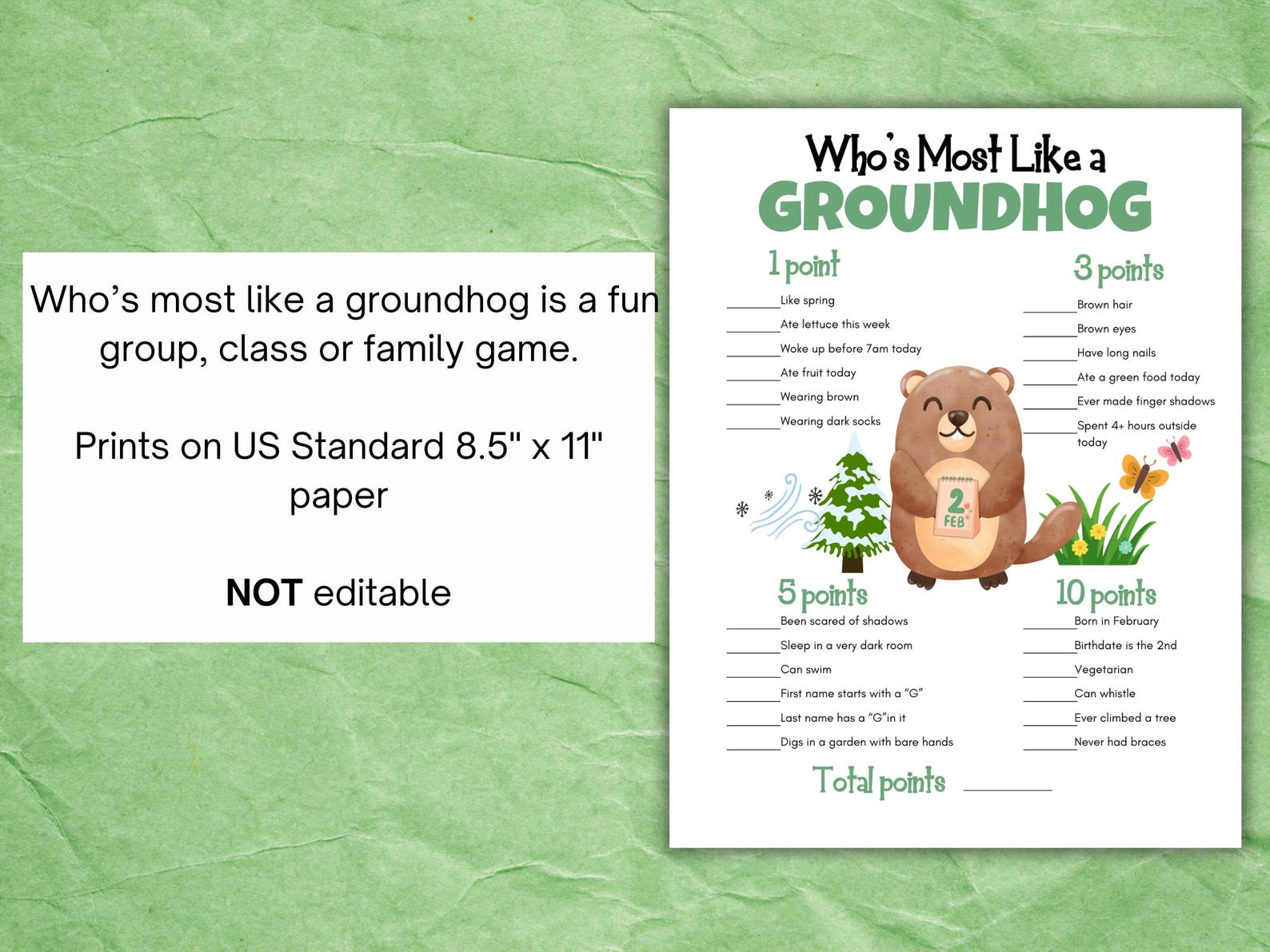 Groundhog Day Game, Printable Groundhogs Day Activity for Kids, Most ...