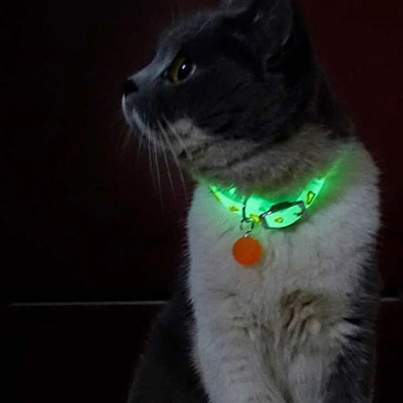Glow in the Dark Cat Collar, Dog Collar, Kitten Collar, Paw Print ...
