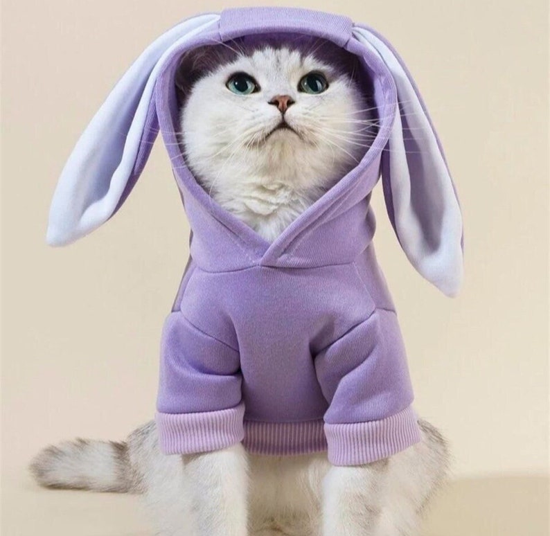 Bunny Costume for Dogs, Halloween Costume for Dogs, Cat's Costume, Dog ...