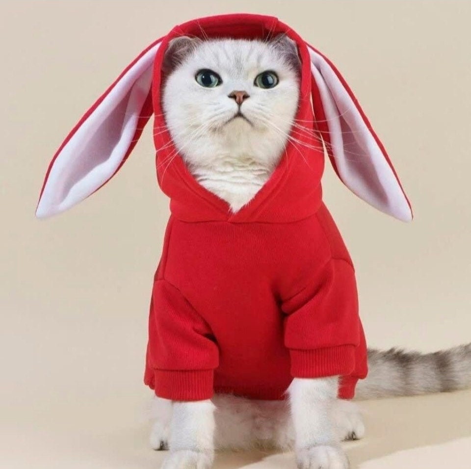 Bunny Costume for Dogs, Halloween Costume for Dogs, Cat's Costume, Dog ...