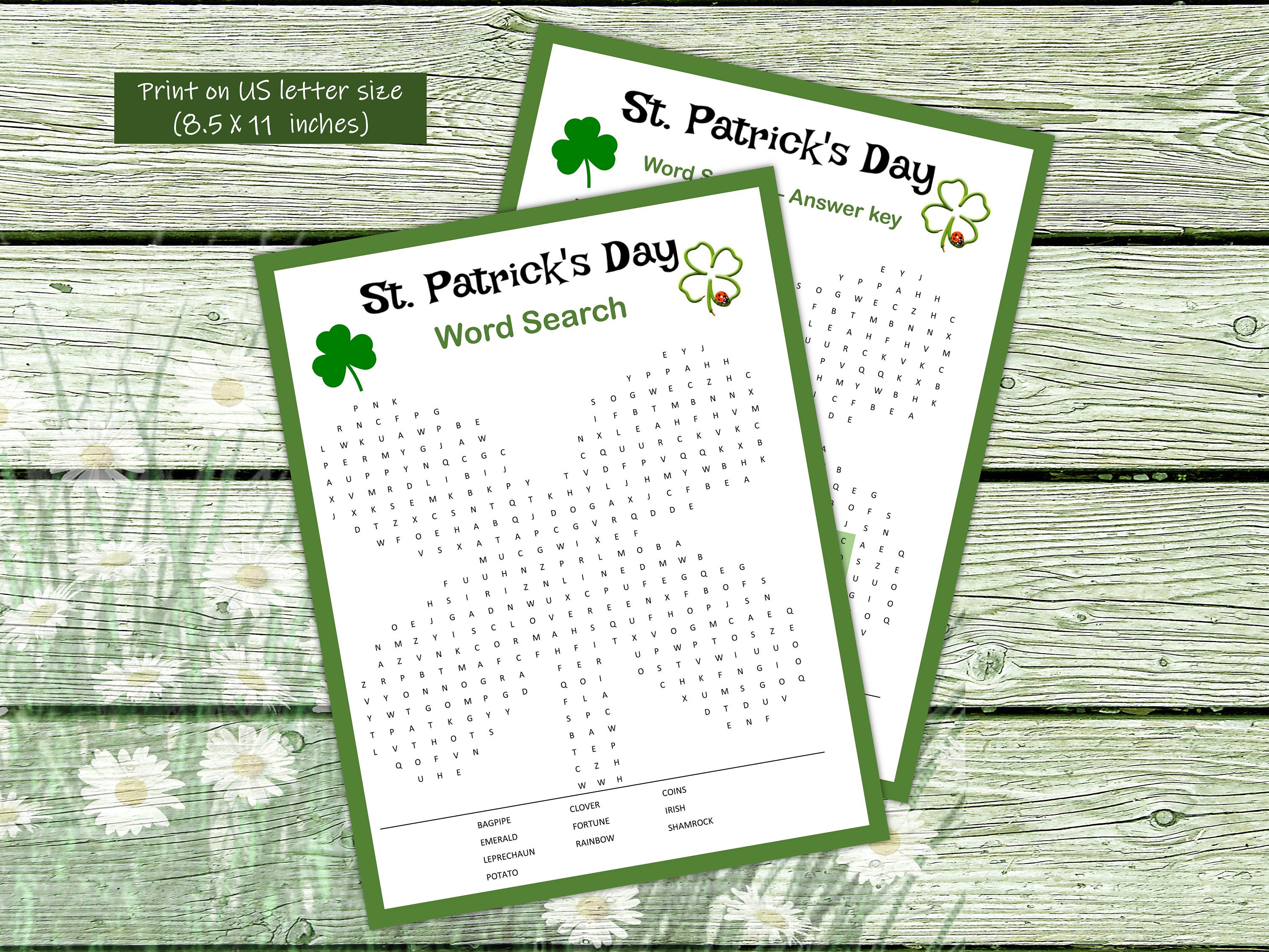 Lucky Leprechaun Word Search: A St. Patrick's Day Adventure for Kids - Etsy