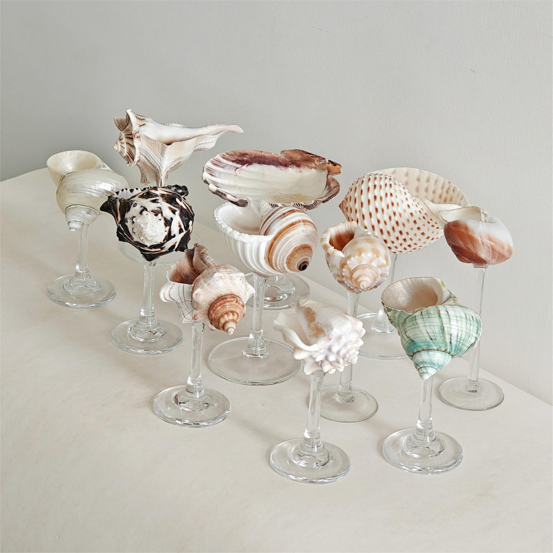 Conch Wine Glasses Seashell Martini Glasses Beach Wedding - Etsy