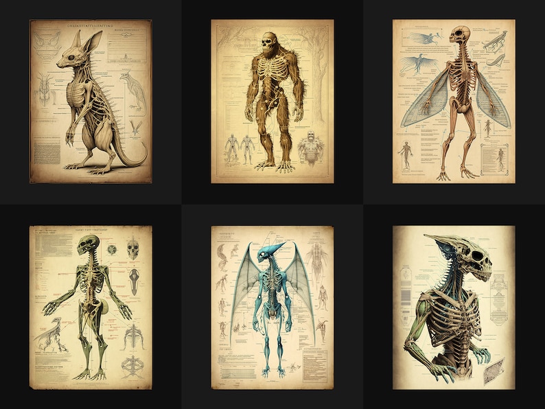 20 Cryptid ANATOMY Posters Digital Download Mothman - Etsy Australia