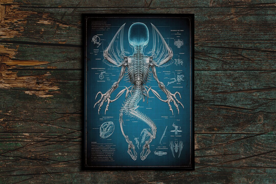 Vintage Alien Anatomy Diagram Goth Decor, Home Decor, Art Poster Print ...
