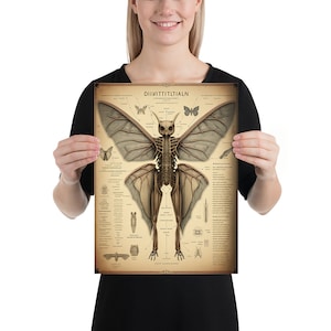 Vintage Mothman Anatomy Diagram Goth Decor, Home Decor, Art Poster ...