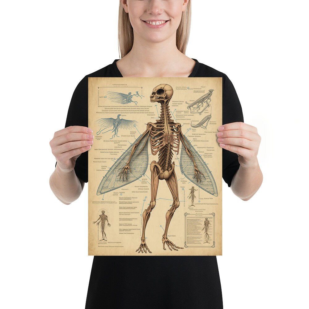 Vintage Flying Alien Anatomy Diagram | Goth Decor, Home Decor, Art ...