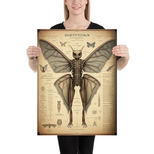 Vintage Mothman Anatomy Diagram Goth Decor, Home Decor, Art Poster ...
