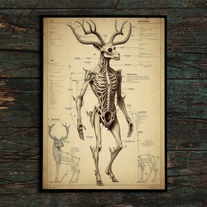 Vintage Werewolf Anatomy Diagram Goth Decor, Home Decor, Art Poster ...