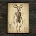Vintage Werewolf Anatomy Diagram Goth Decor, Home Decor, Art Poster ...