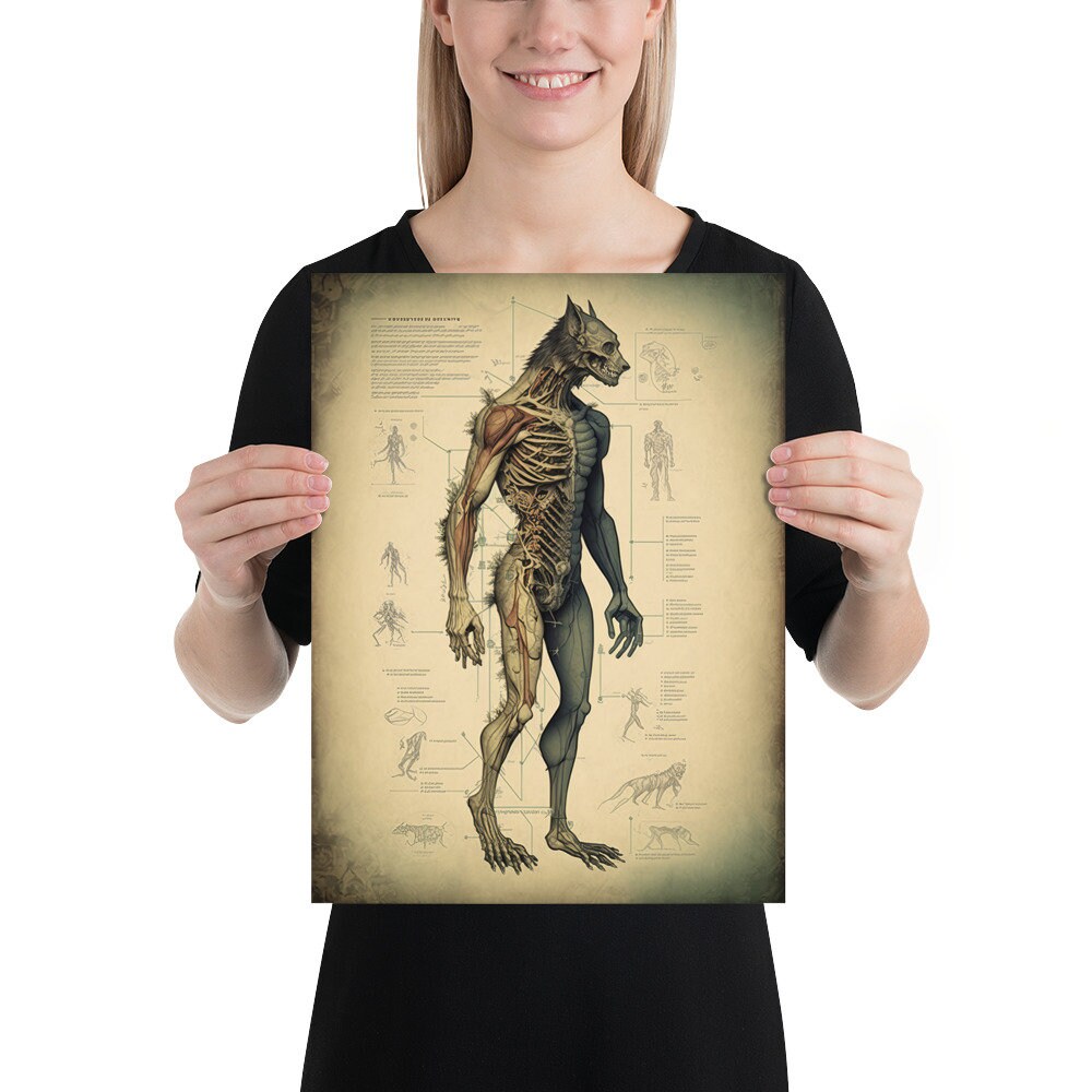 Werewolf Anatomy