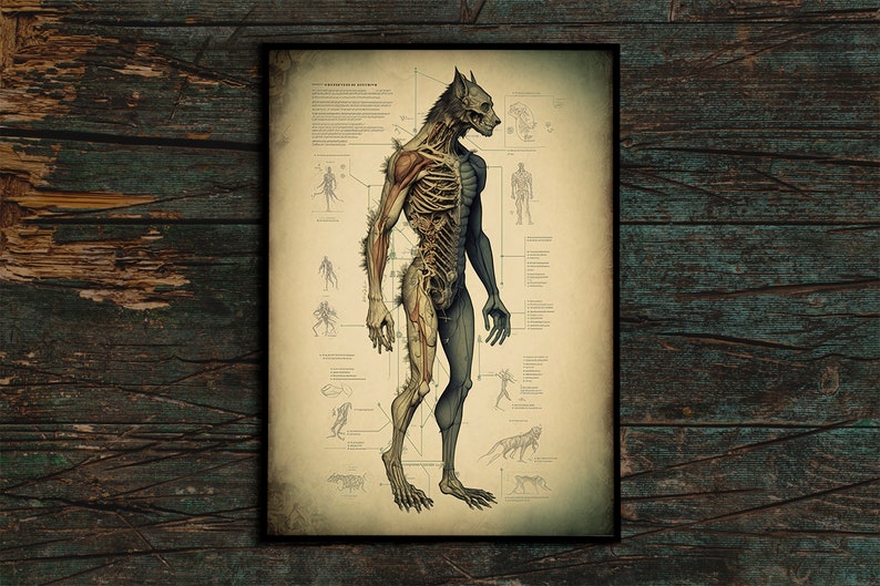 Vintage Werewolf Anatomy Diagram Goth Decor Home Decor Art - Etsy