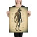 Vintage Werewolf Anatomy Diagram Goth Decor, Home Decor, Art Poster ...