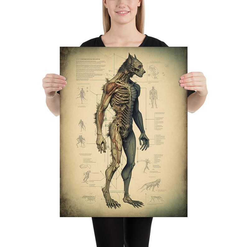Vintage Werewolf Anatomy Diagram Goth Decor Home Decor Art - Etsy