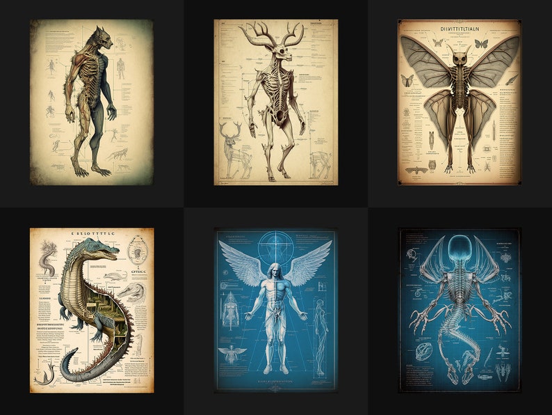 20 Cryptid ANATOMY Posters Digital Download Mothman - Etsy Australia