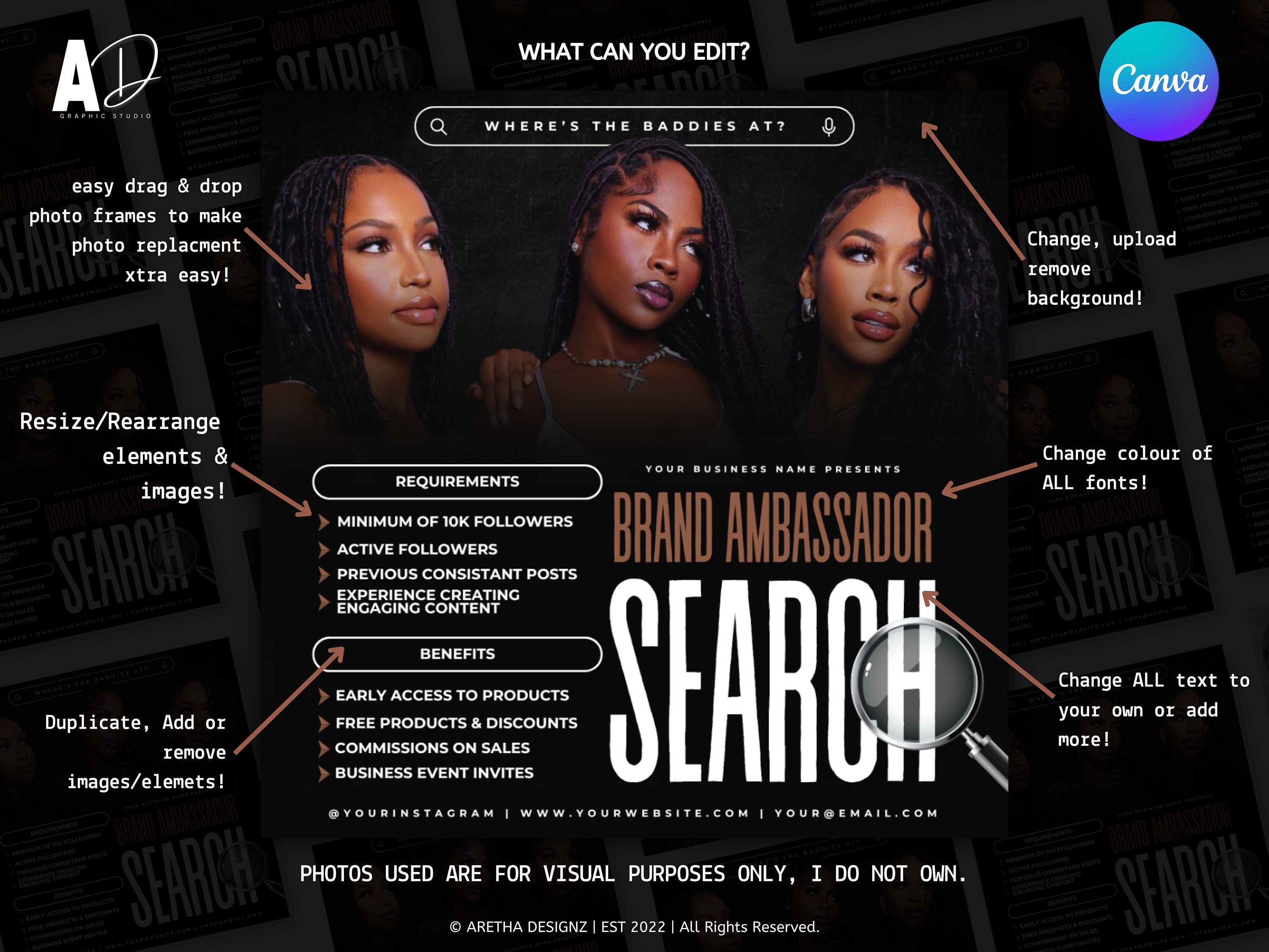 Brand Ambassador Search Flyer Influencer Flyer, Hair Ambassador Flyer ...