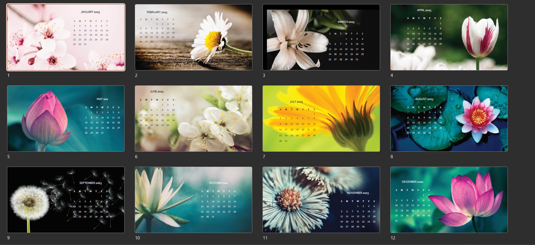 2023 Floral Calendar Wallpaper - Etsy
