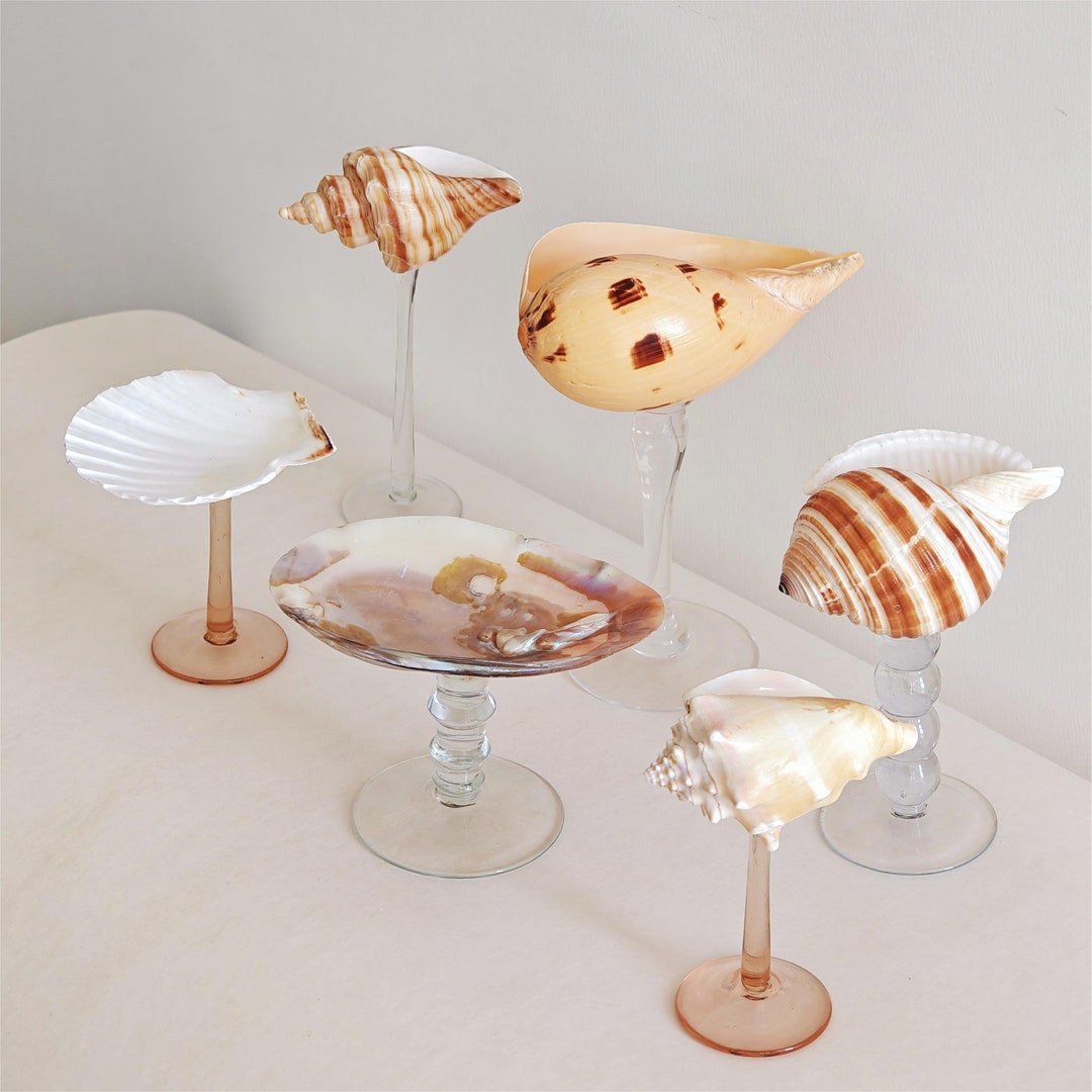 Set of 6 Conch Shell Cup Set Beach Wedding Wine Glasses Seashell ...