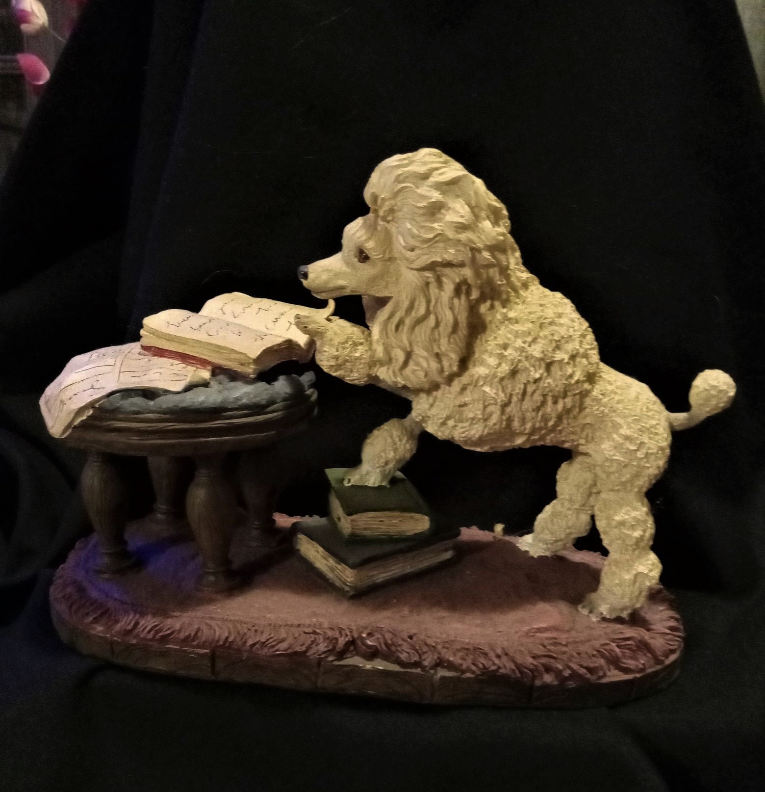 Rare Vintage Poodle Reading Figurine Plaster Ceramic Whimsical - Etsy