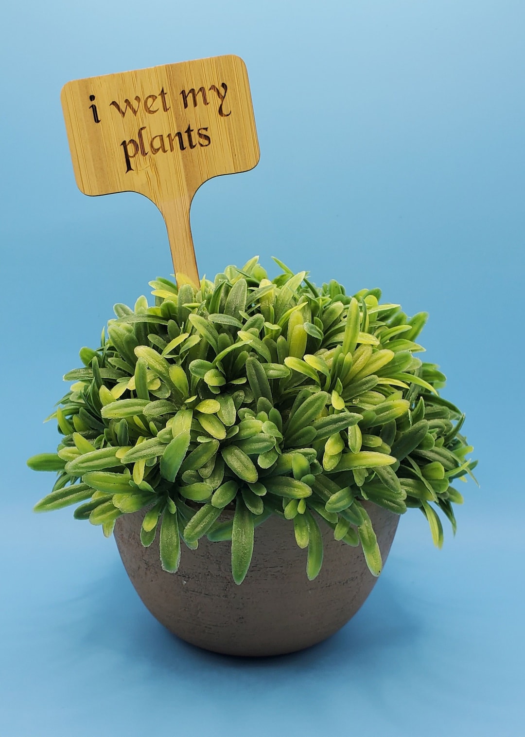 Set of 5 Funny Plant Sayings, Plant Tags, 24 Funny Plant Sayings ...