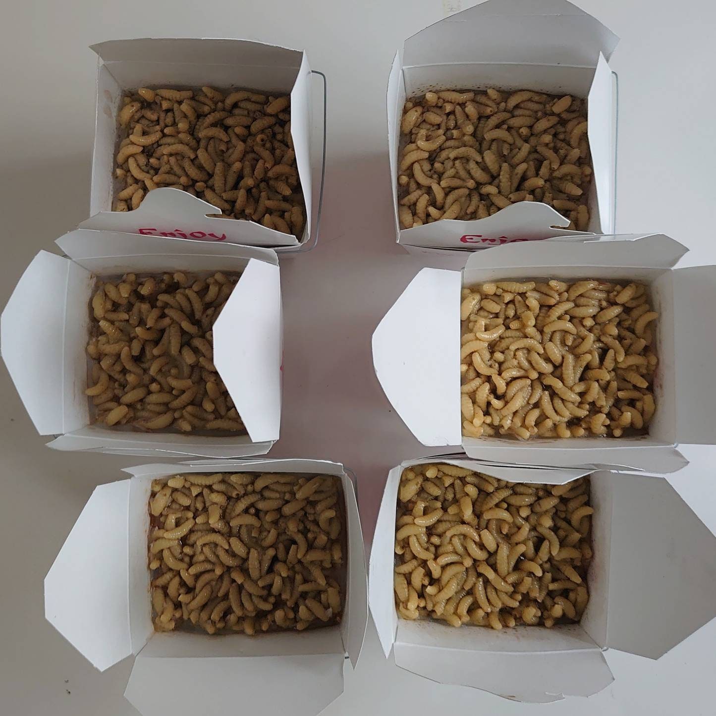Maggots Chinese Takeaway Box Plus Plastic Fork the Lost Boys Replica ...