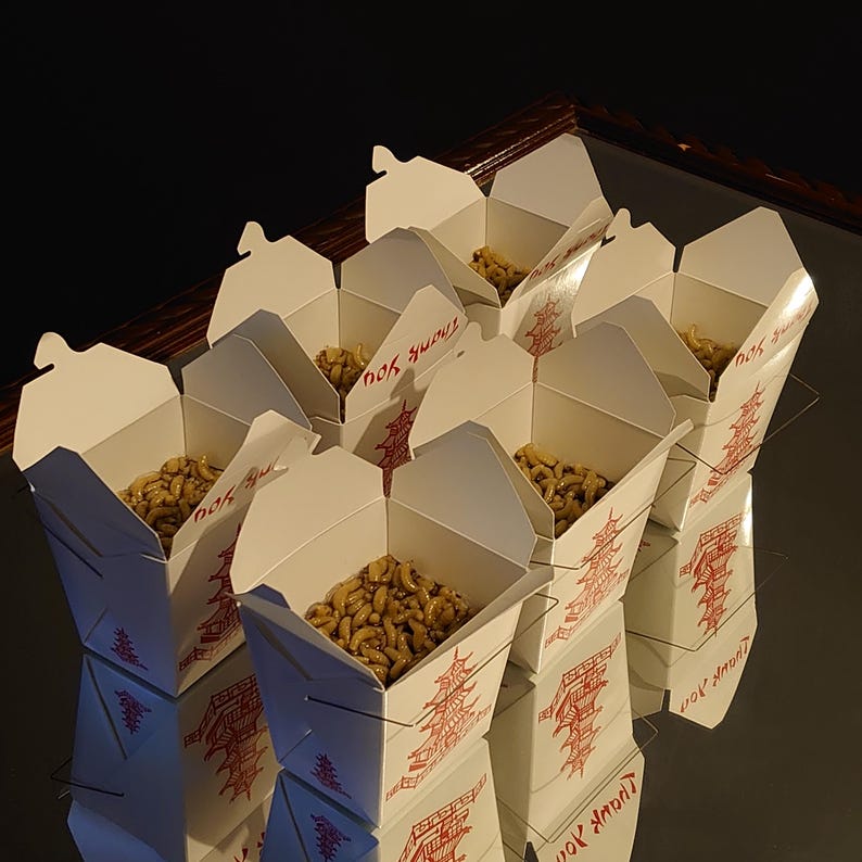 Maggots Chinese Takeaway Box Plus Plastic Fork - the Lost Boys Replica ...