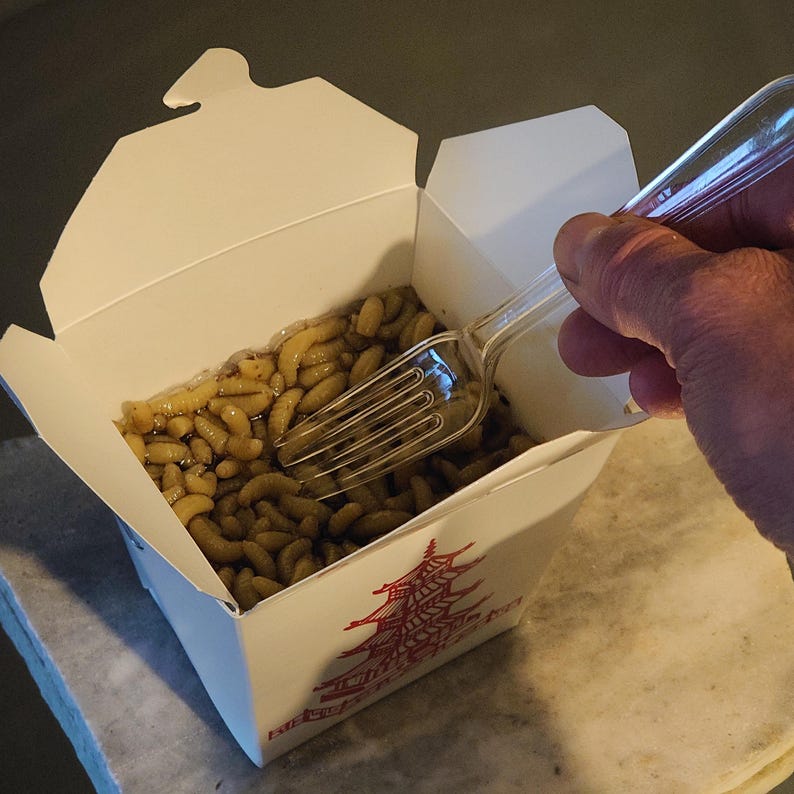 Maggots Chinese Takeaway Box Plus Plastic Fork - the Lost Boys Replica ...