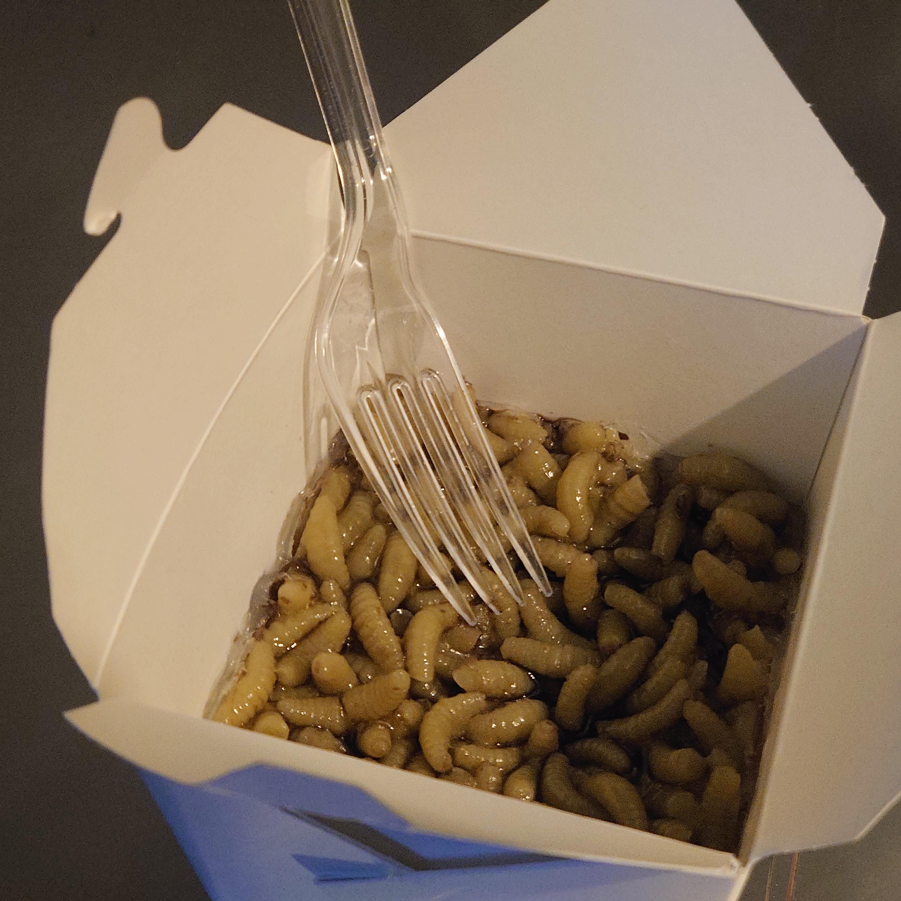 Maggots Chinese Takeaway Box Plus Plastic Fork - the Lost Boys Replica ...