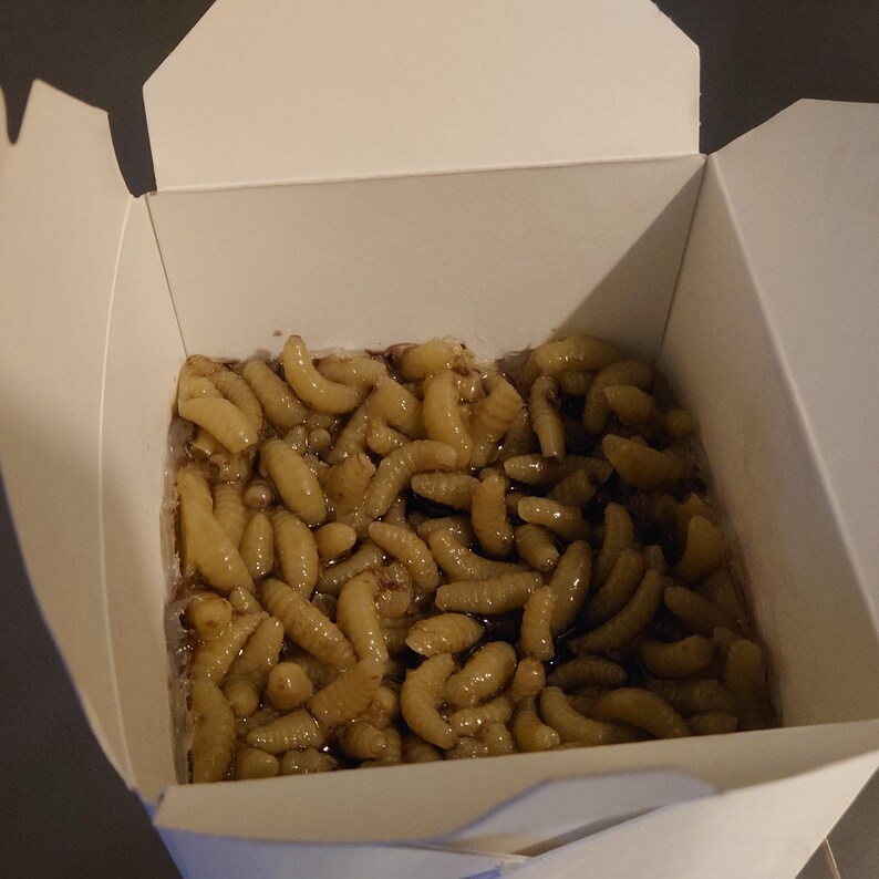 Maggots Chinese Takeaway Box Plus Plastic Fork - the Lost Boys Replica ...