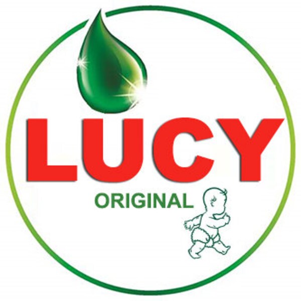 Fairy in a Bottle - Etsy UK