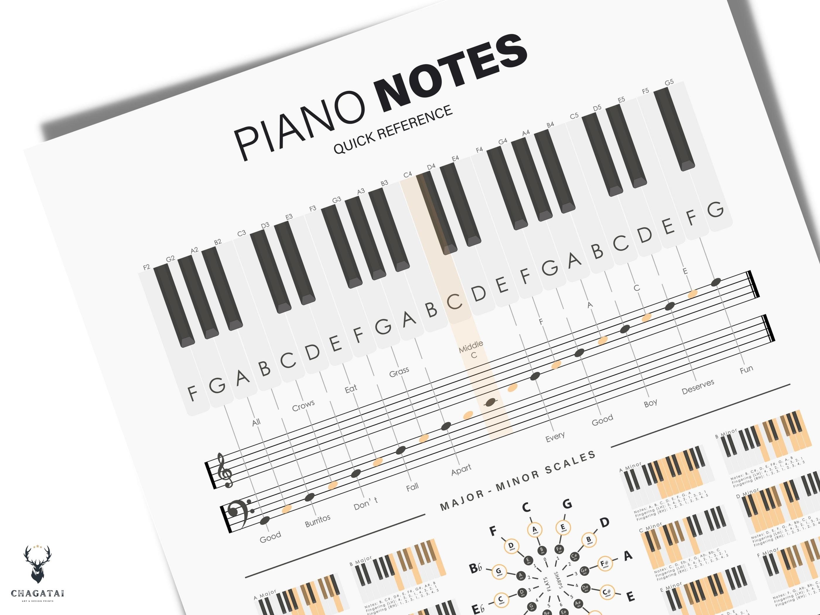 Piano Notes Chart Poster Circle of Fifths Piano Music Theory - Etsy