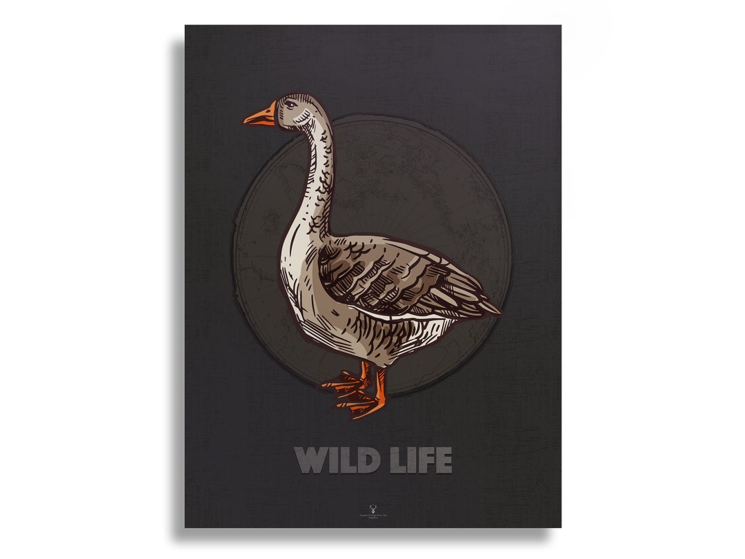 Goose Poster, Wild Life Poster, Digital Prints, Vintage Gallery Wild ...