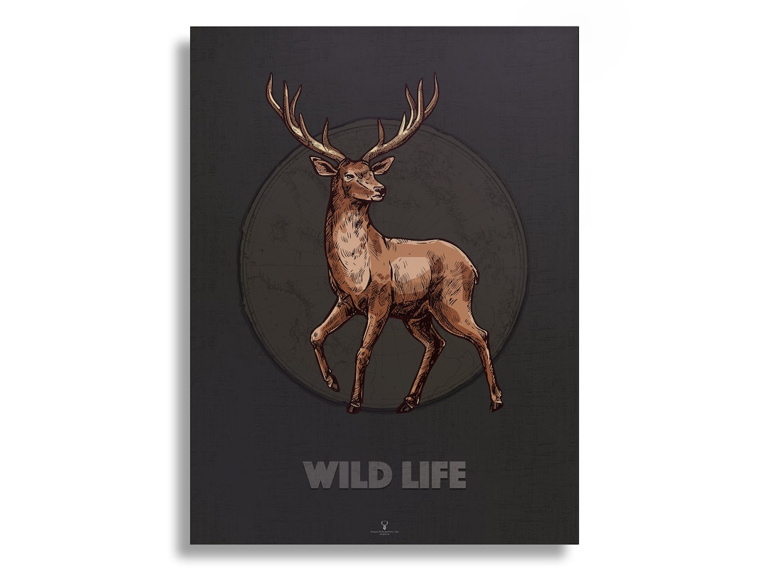 Deer Poster, Wild Life Poster, Deer Prints, Vintage Gallery Wild Life ...