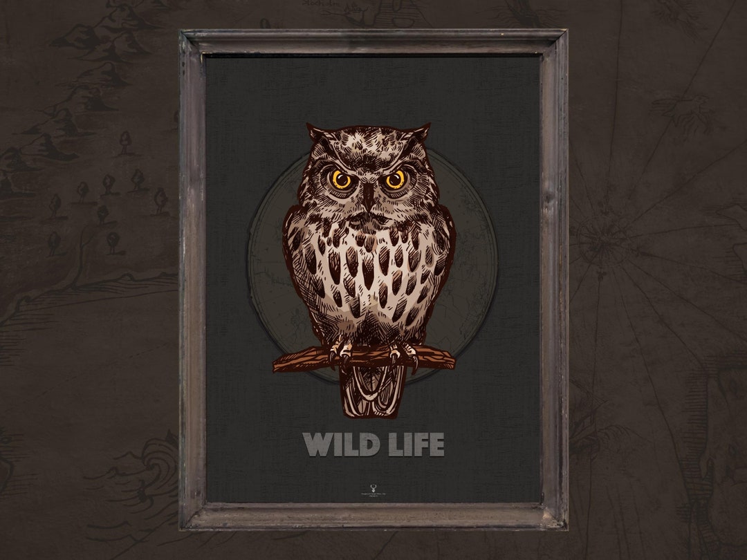Eule Poster Wild Life Decor Eule Prints Vintage Gallery Wild Life Eule ...