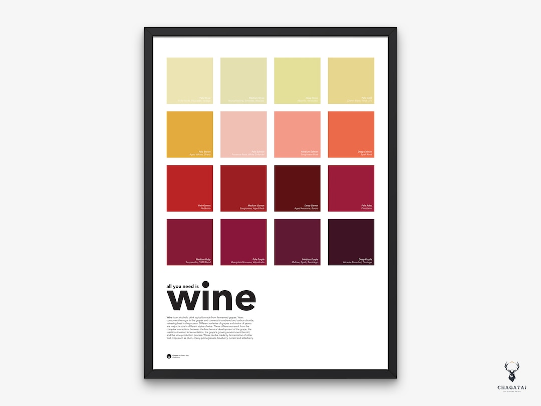 Wine Color Chart Print Wine Wall Art Printable All You Need is Wine ...