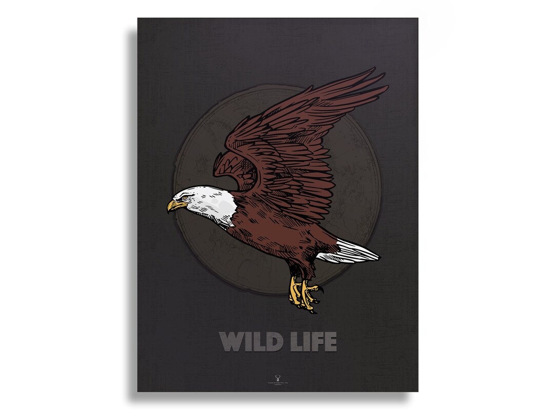 Eagle Poster, Wild Life Poster, Eagle Prints, Vintage Gallery Wild Life ...