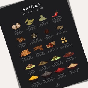 Spices Poster Kitchen Cook Cheat Paper Kitchen Wall Art Spices Guide ...