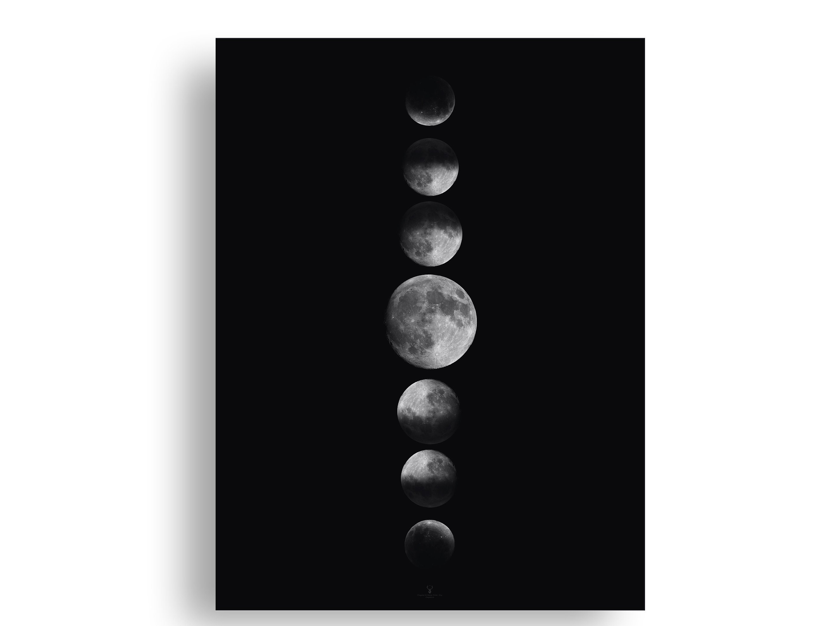 Phases of the Moon Poster Moon Phases Astronomy Poster Moon Home Decor ...