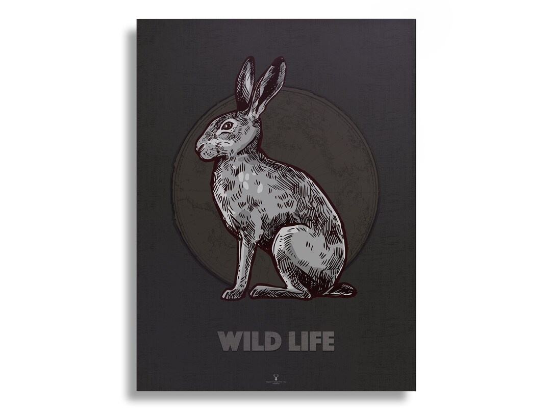 Rabbit Poster, Wild Life Poster, Rabbit Prints, Vintage Gallery Wild ...