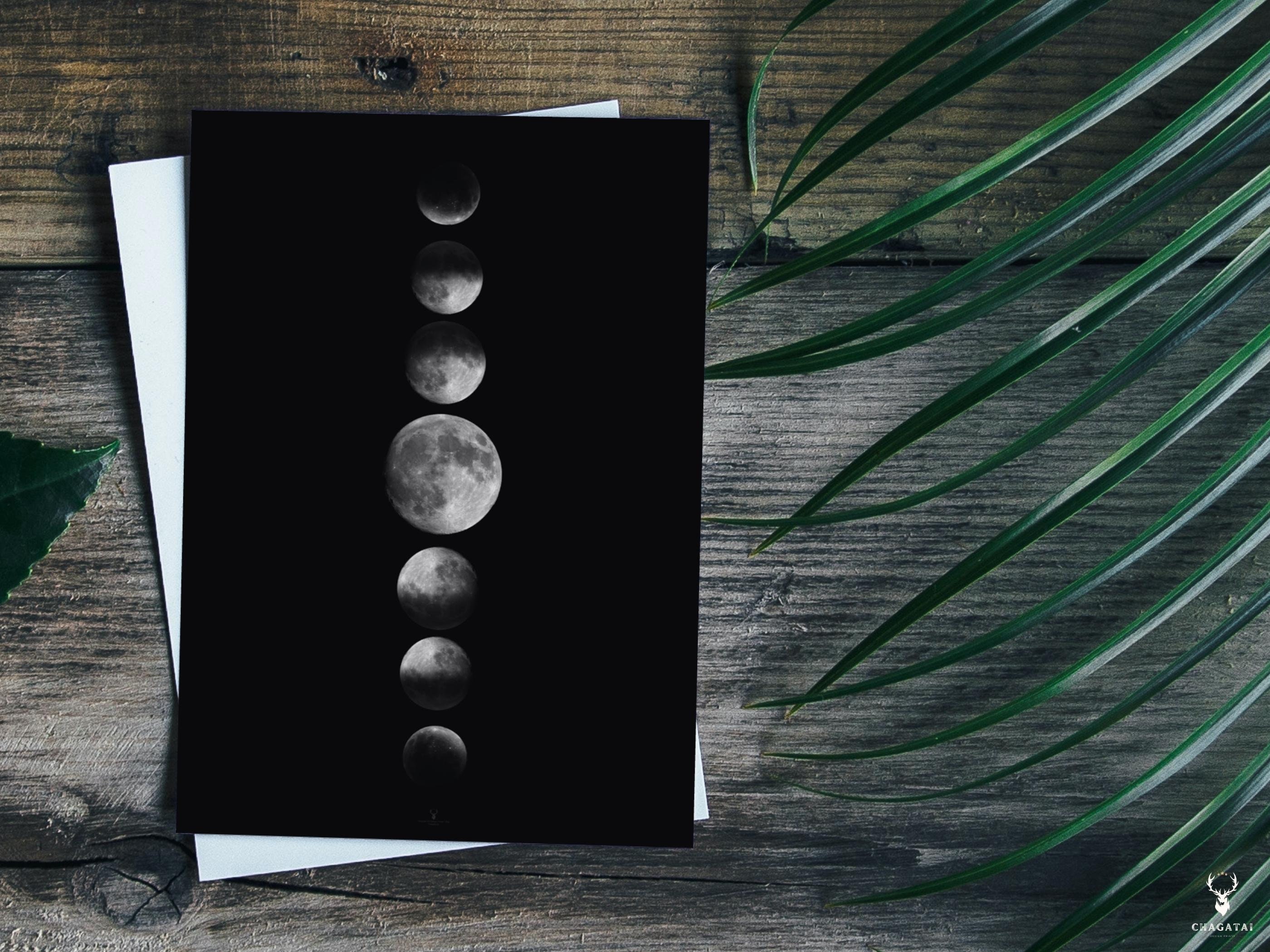 Phases of the Moon Poster Moon Phases Astronomy Poster Moon Home Decor ...