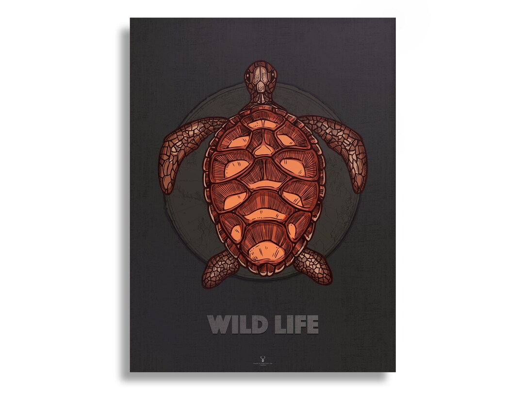 Shellfish Poster, Wild Life Poster, Turtle Prints, Vintage Gallery Wild ...