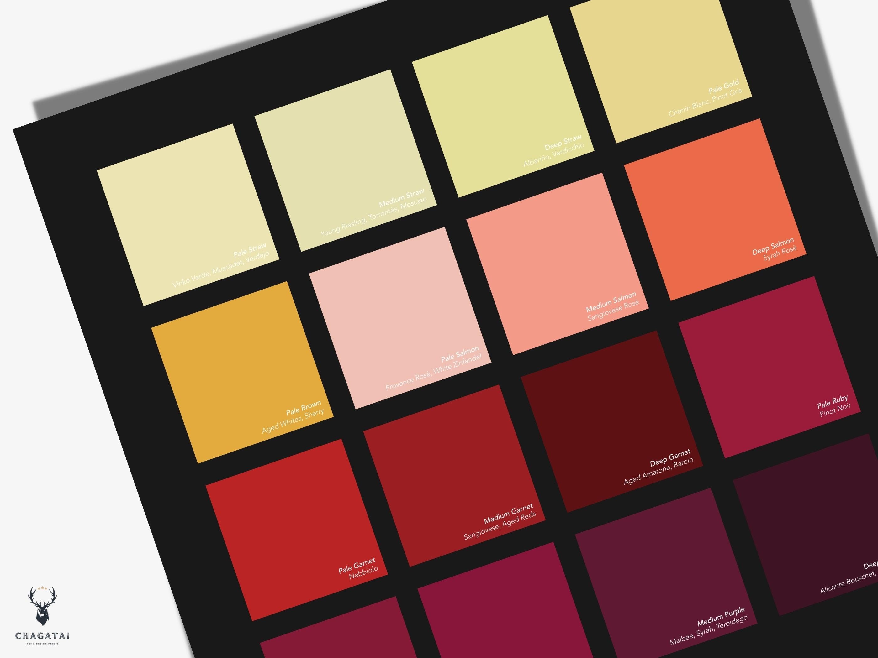 Wine Color Chart Poster Wine Printable All You Need is Wine - Etsy ...