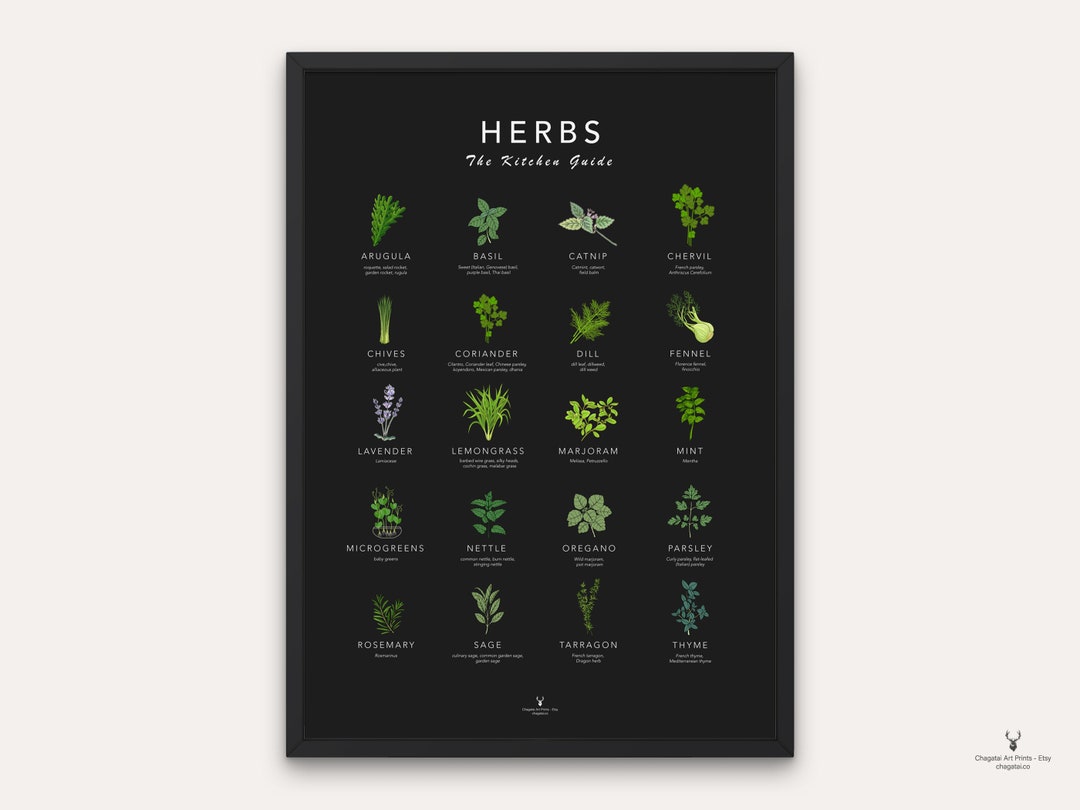 Herbs Poster for Kitchen Wall Art Cook Cheat Paper Herb Prints ...