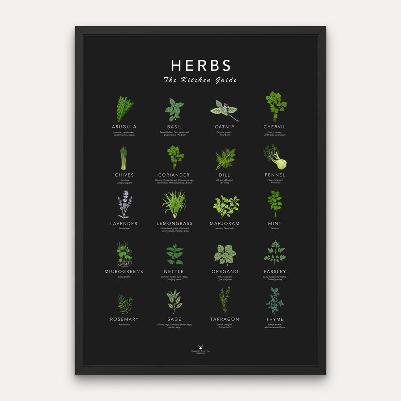 Herb Poster - Etsy