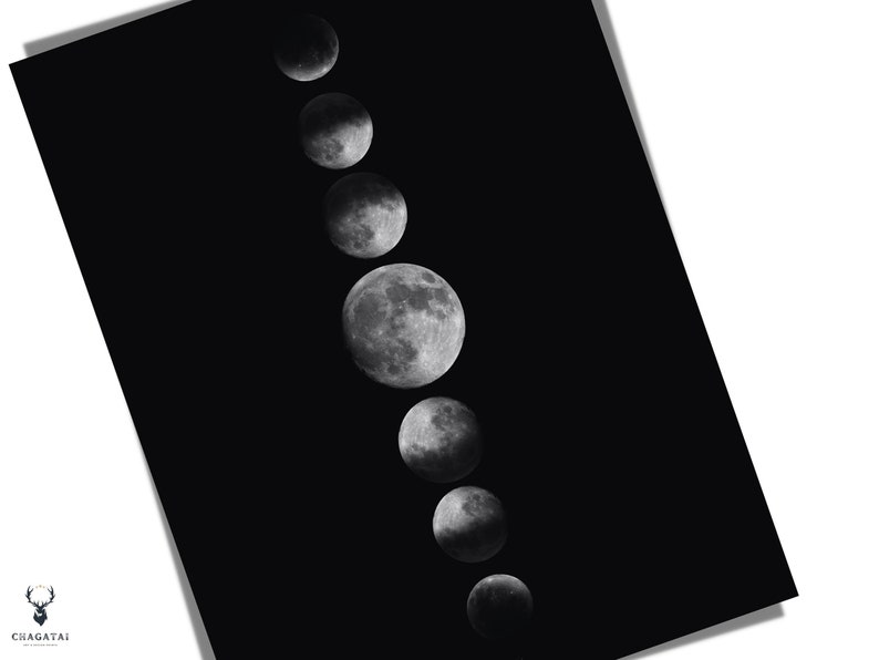 Phases of the Moon Poster Moon Phases Astronomy Poster Moon Home Decor ...