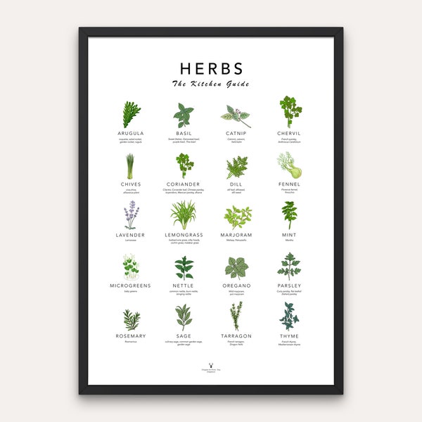 Herb Print - Etsy